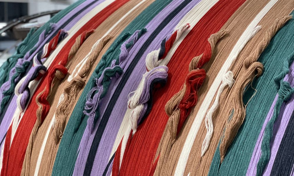 TBCo is Celebrating B Corp Month